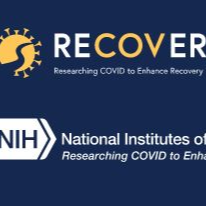 Rachel Ouye | Professional Portfolio